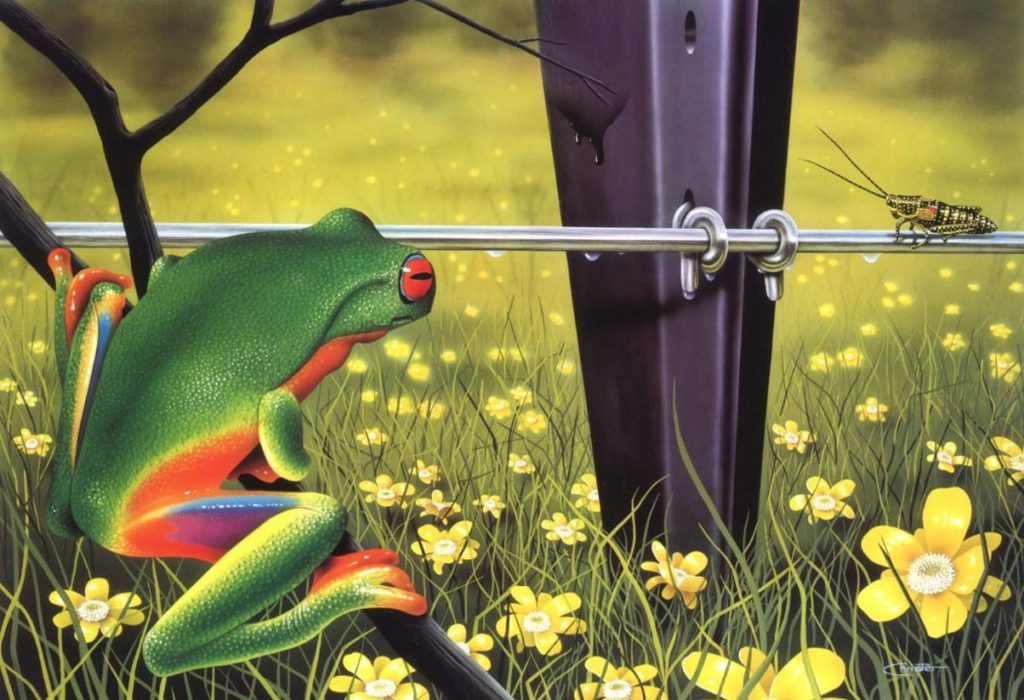 8 Artists That Bridge the Gap Between Natural Science & Art – Artists ...